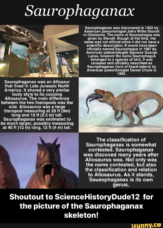 Saurophaganax Skeleton