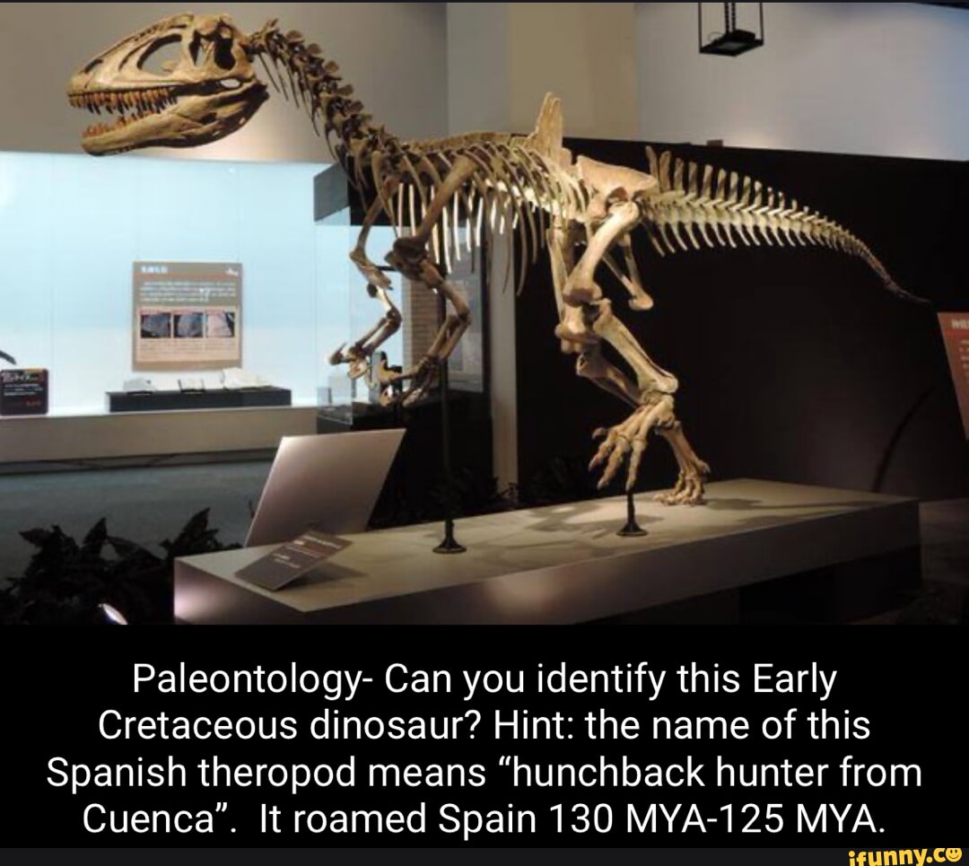 Paleontology- Can you identify this Early Cretaceous dinosaur? Hint ...