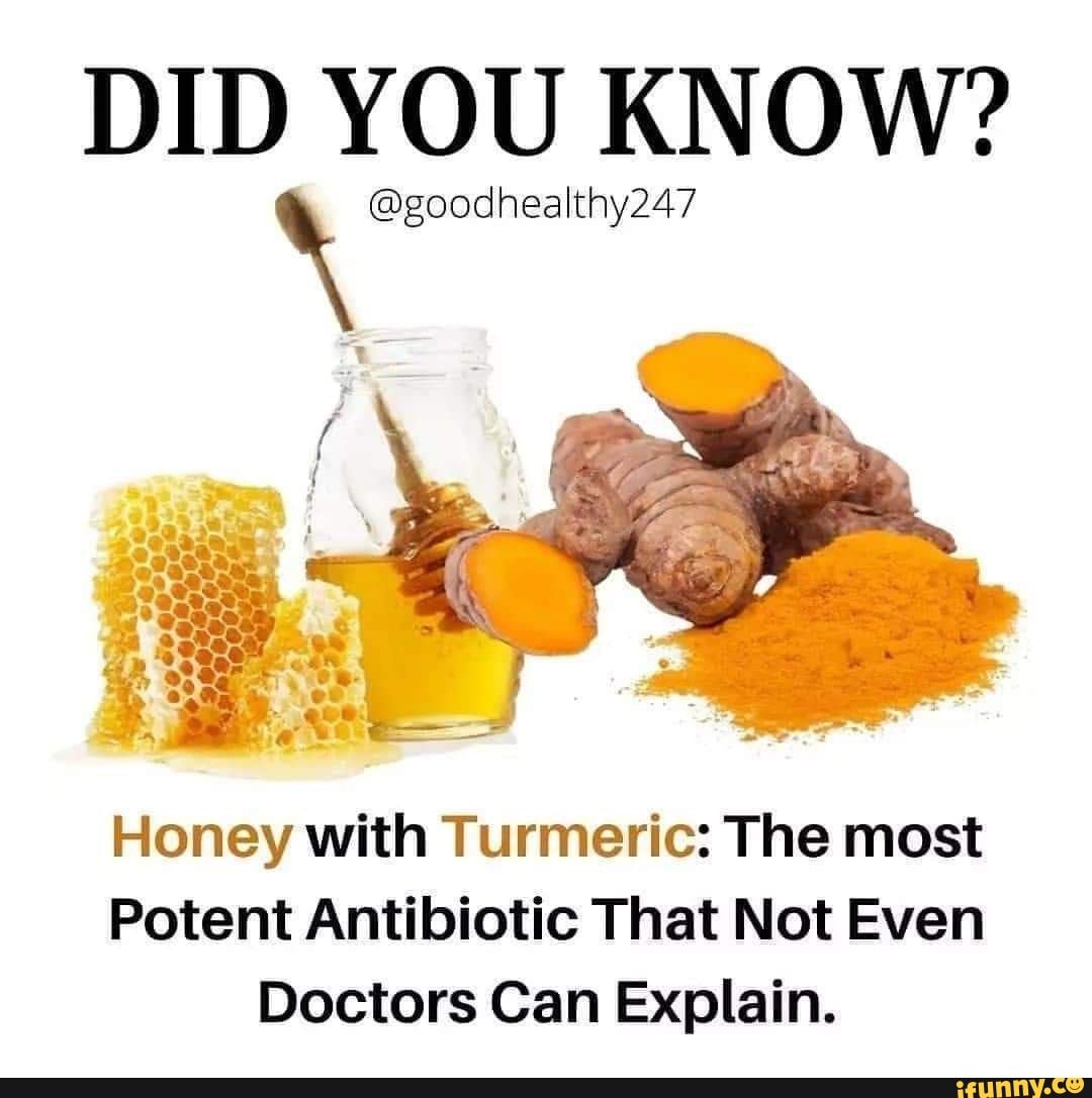 DID YOU KNOW? @goodhealthy247 Honey with Turmeric: The most Potent ...