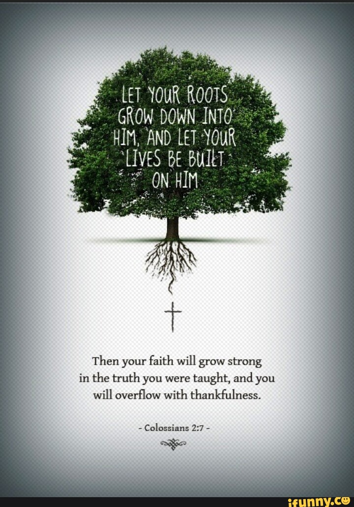 LET YOUR ROOTS.* GROW DOWN INTO: AND LET Then your faith will grow ...