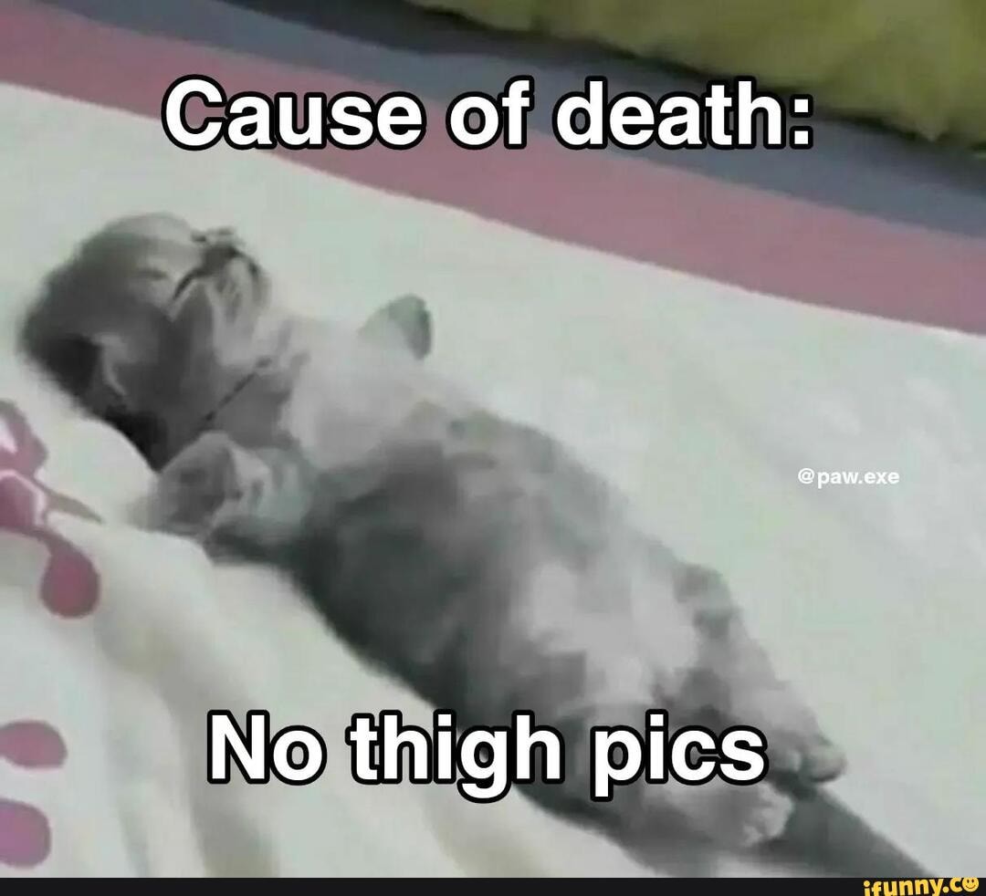 Cause of death: No thigh pics - iFunny