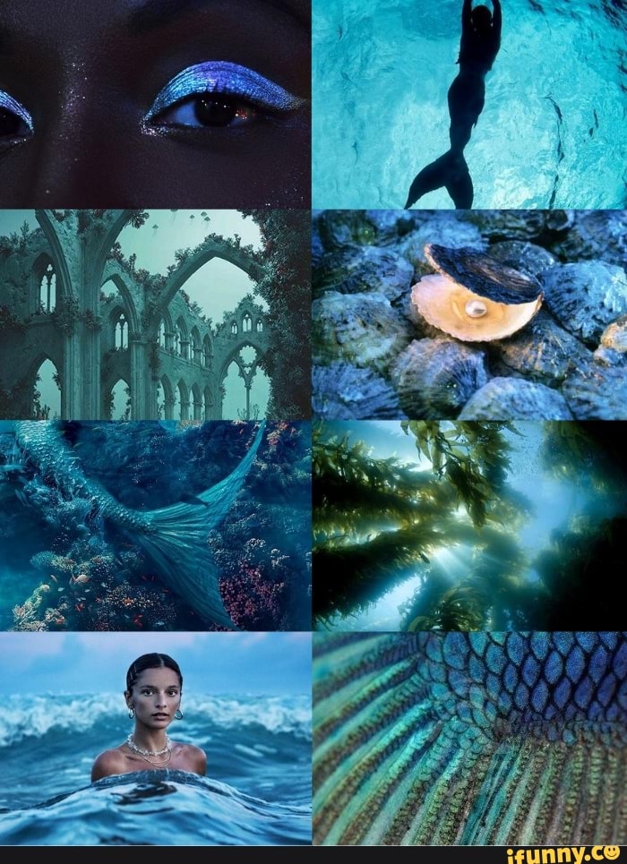 Meraesthetic memes. Best Collection of funny Meraesthetic pictures on ...