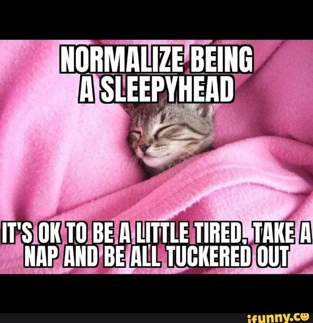 Sleepyhead memes. Best Collection of funny Sleepyhead pictures on iFunny