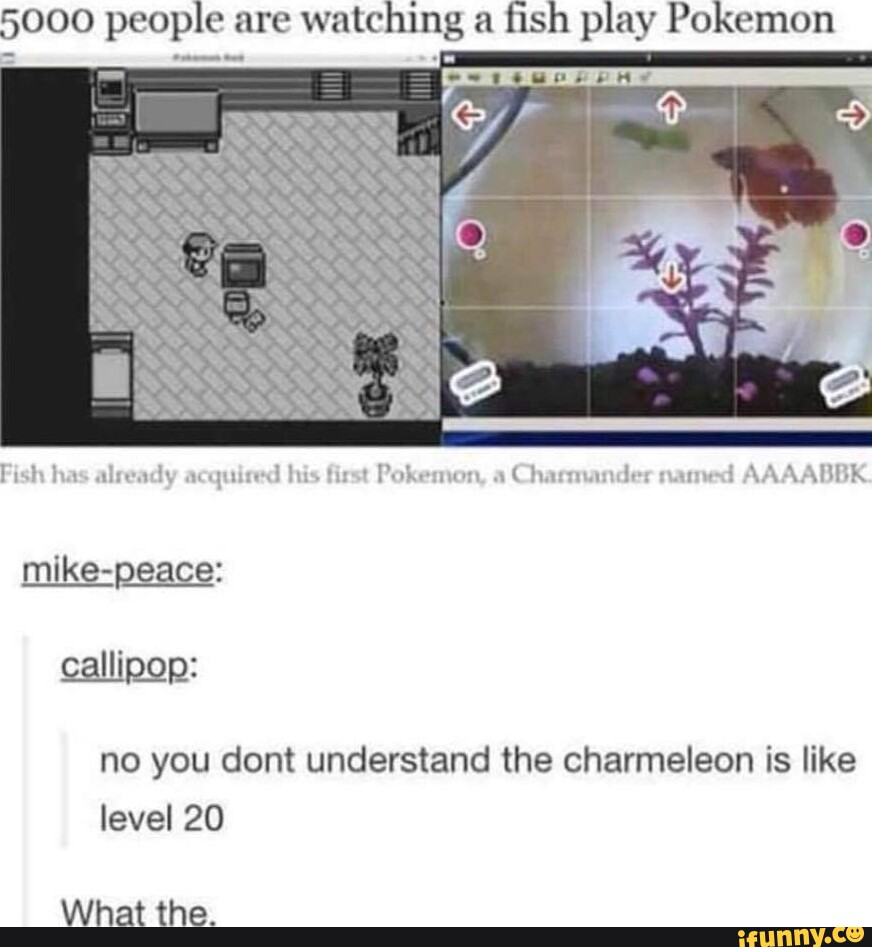 5000 people are watching a fish play Pokemon Fish has already acquired ...