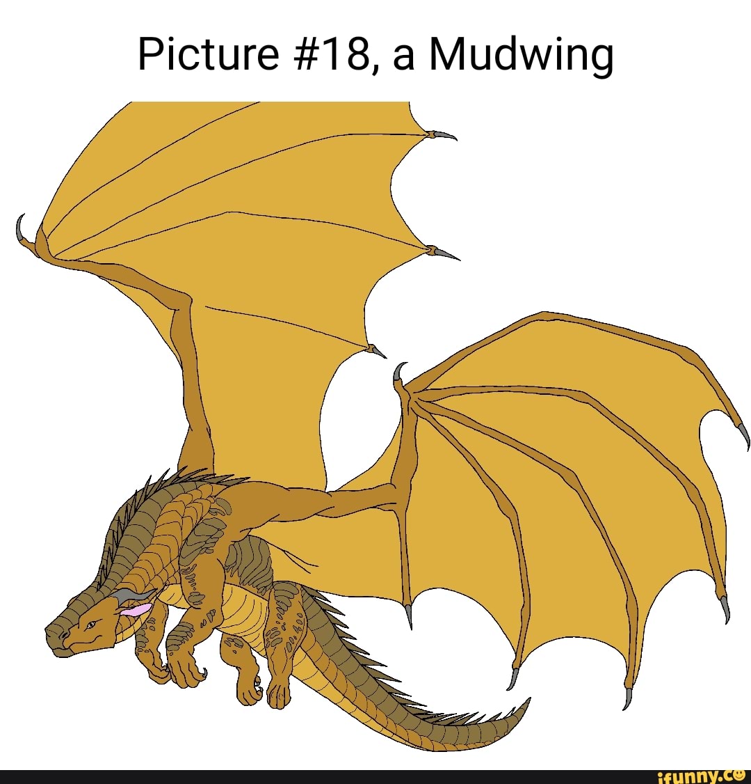 Mudwing memes. Best Collection of funny Mudwing pictures on iFunny