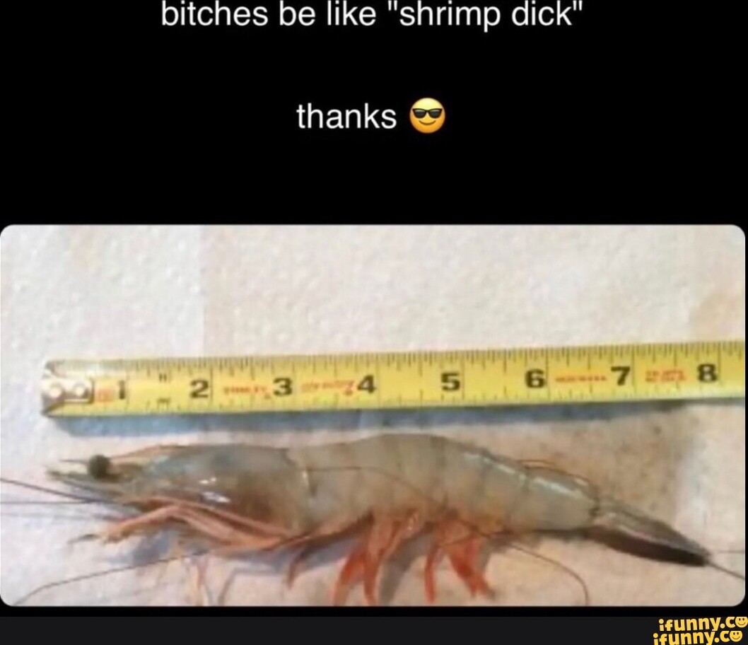 Shrimp memes. Best Collection of funny Shrimp pictures on iFunny