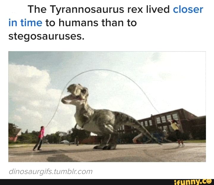 The Tyrannosaurus rex lived closer in time to humans than to stegosauruses. í - iFunny