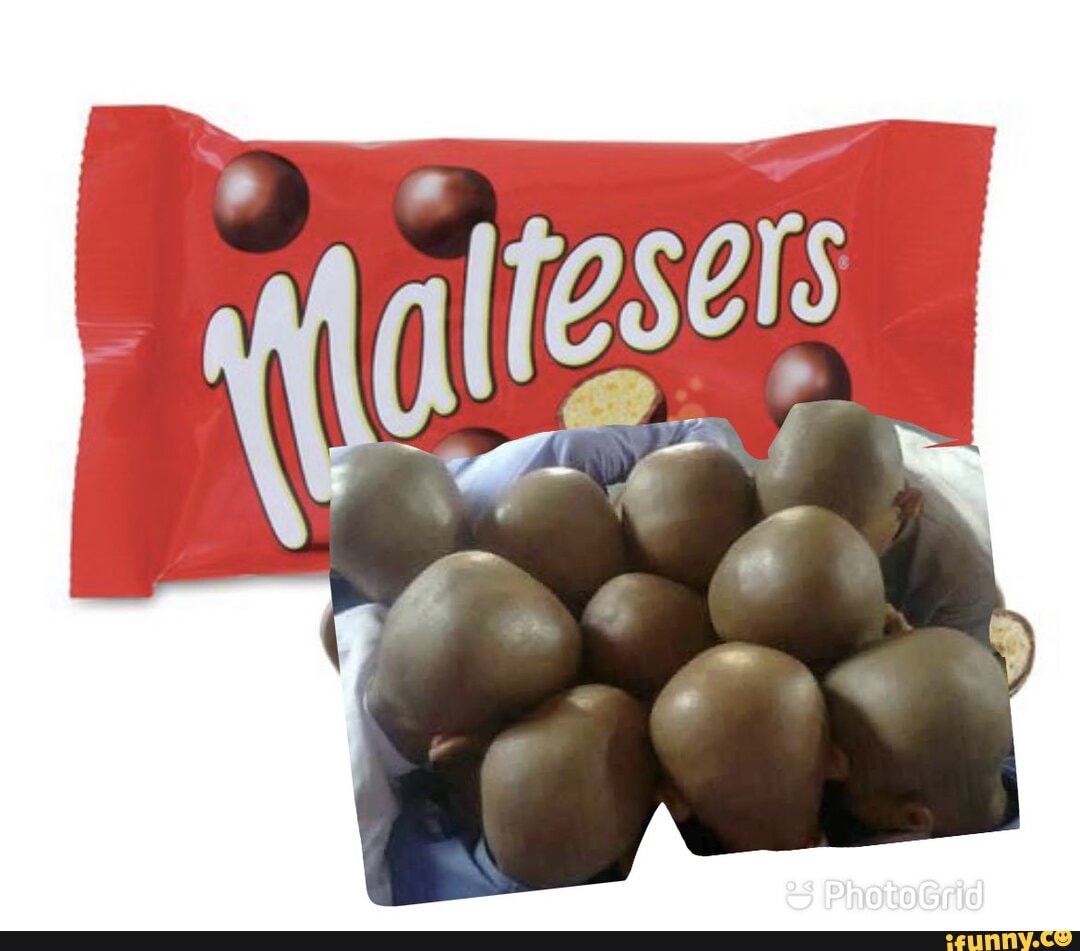 Maltesers memes. Best Collection of funny Maltesers pictures on iFunny