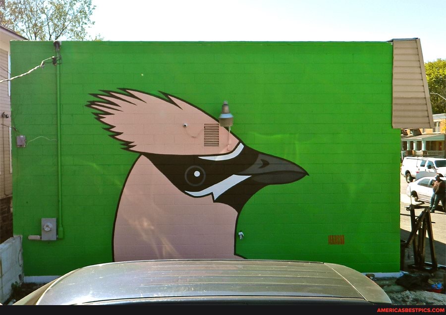 B'more birds murals painted by Iandry Randriamandroso - America’s best ...