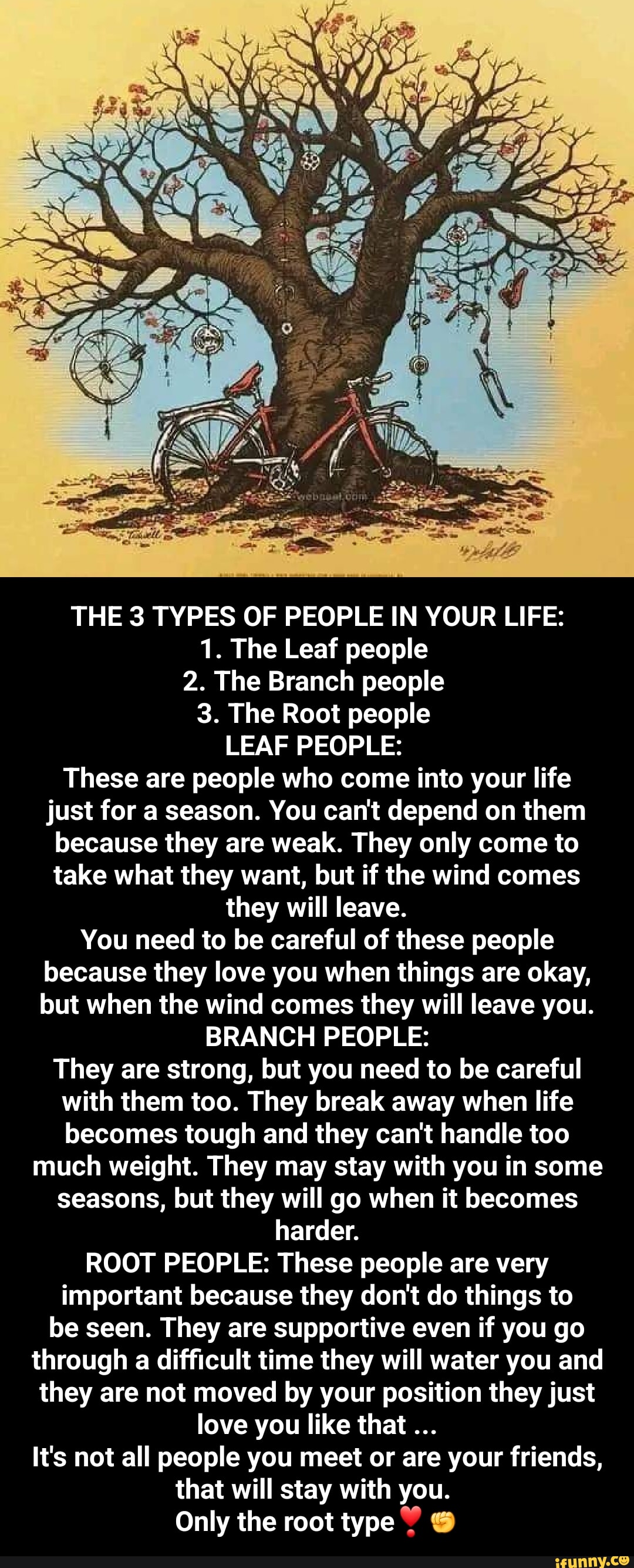 THE 3 TYPES OF PEOPLE IN YOUR LIFE: 1. The Leaf people 2. The Branch ...