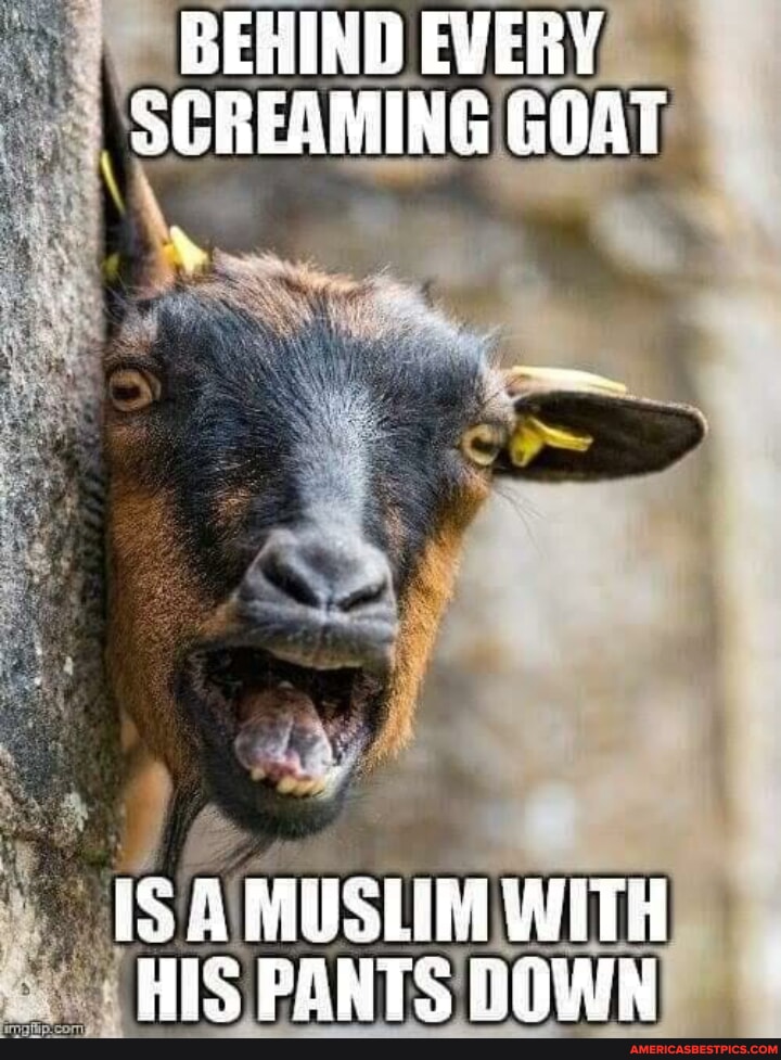 SCREAMING GOAT iS A MUSUIM WITH HIS PANTS HOWN - America’s best pics ...