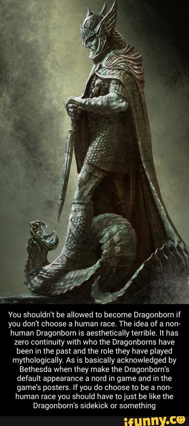 Dragonborns memes. Best Collection of funny Dragonborns pictures on iFunny