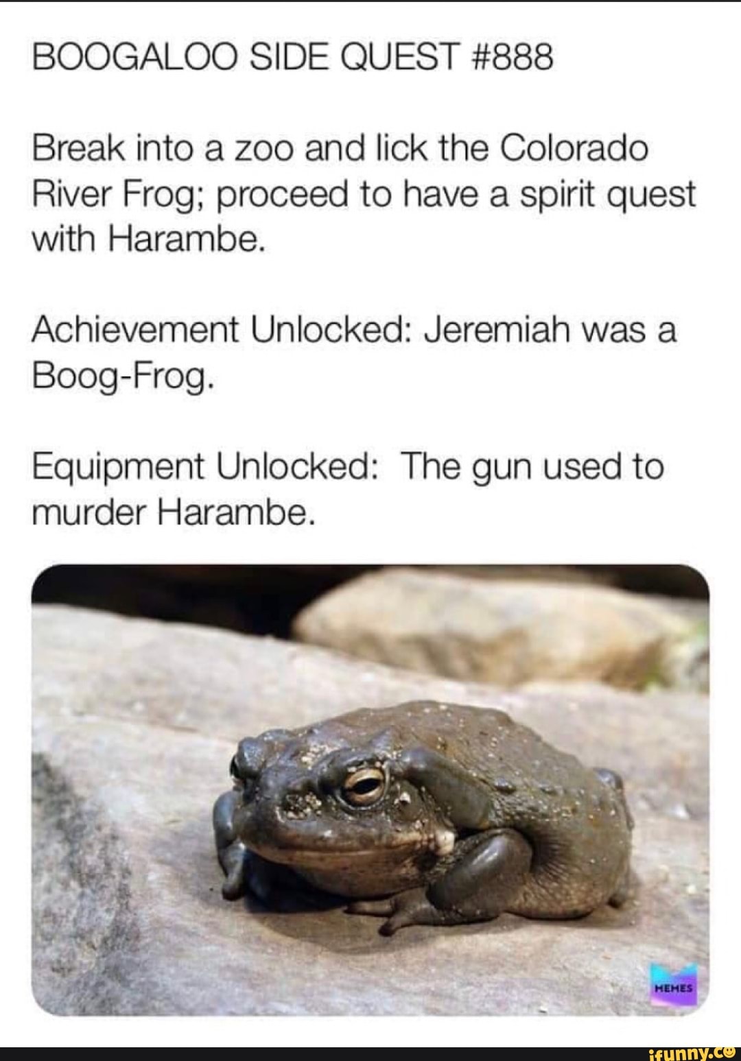 BOOGALOO SIDE QUEST #888 Break into a zoo and lick the Colorado River ...