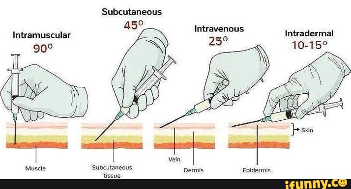 Subcutaneous Intravenous Intramuscular Intradermal Vein Muscle ...