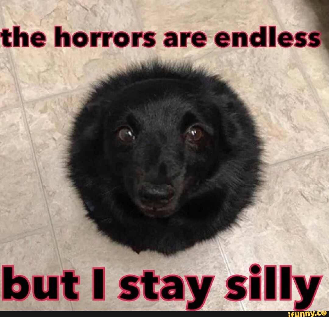 The horrors are endless but I stay silly - iFunny