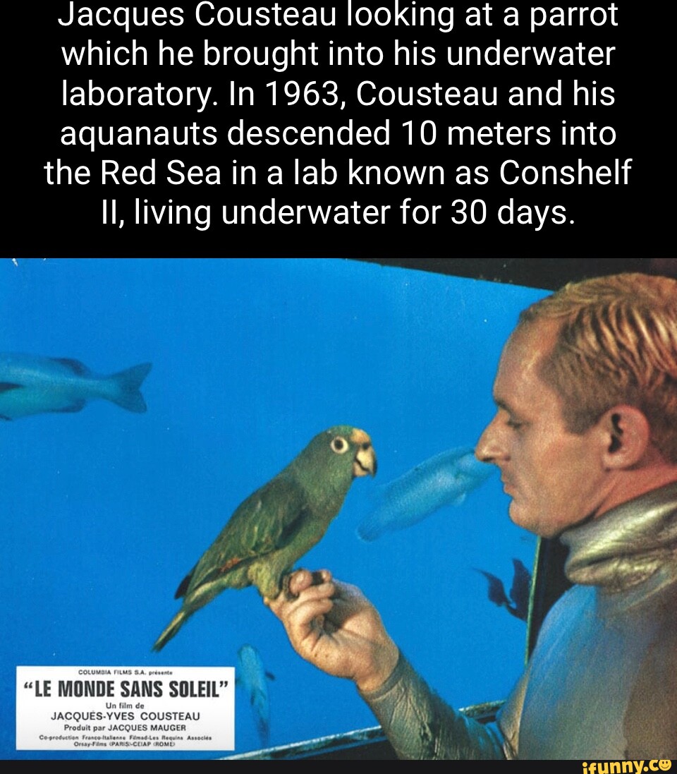 Jacques Cousteau looking at a parrot which he brought into his ...