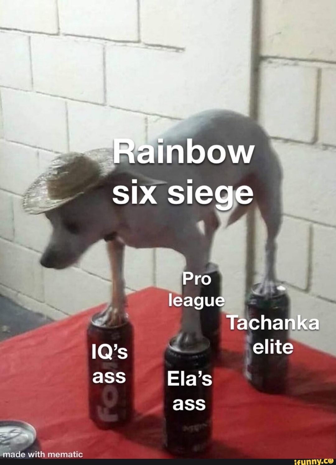 Lelas memes. Best Collection of funny Lelas pictures on iFunny