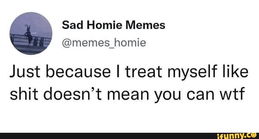 Sad Homie Memes @memes homie Just because I treat myself like shit ...