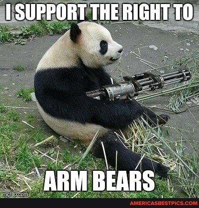 SUPPORT THE RIGHT TO ARM BEARS - America’s best pics and videos