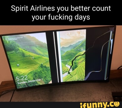 Devastated memes. Best Collection of funny Devastated pictures on iFunny