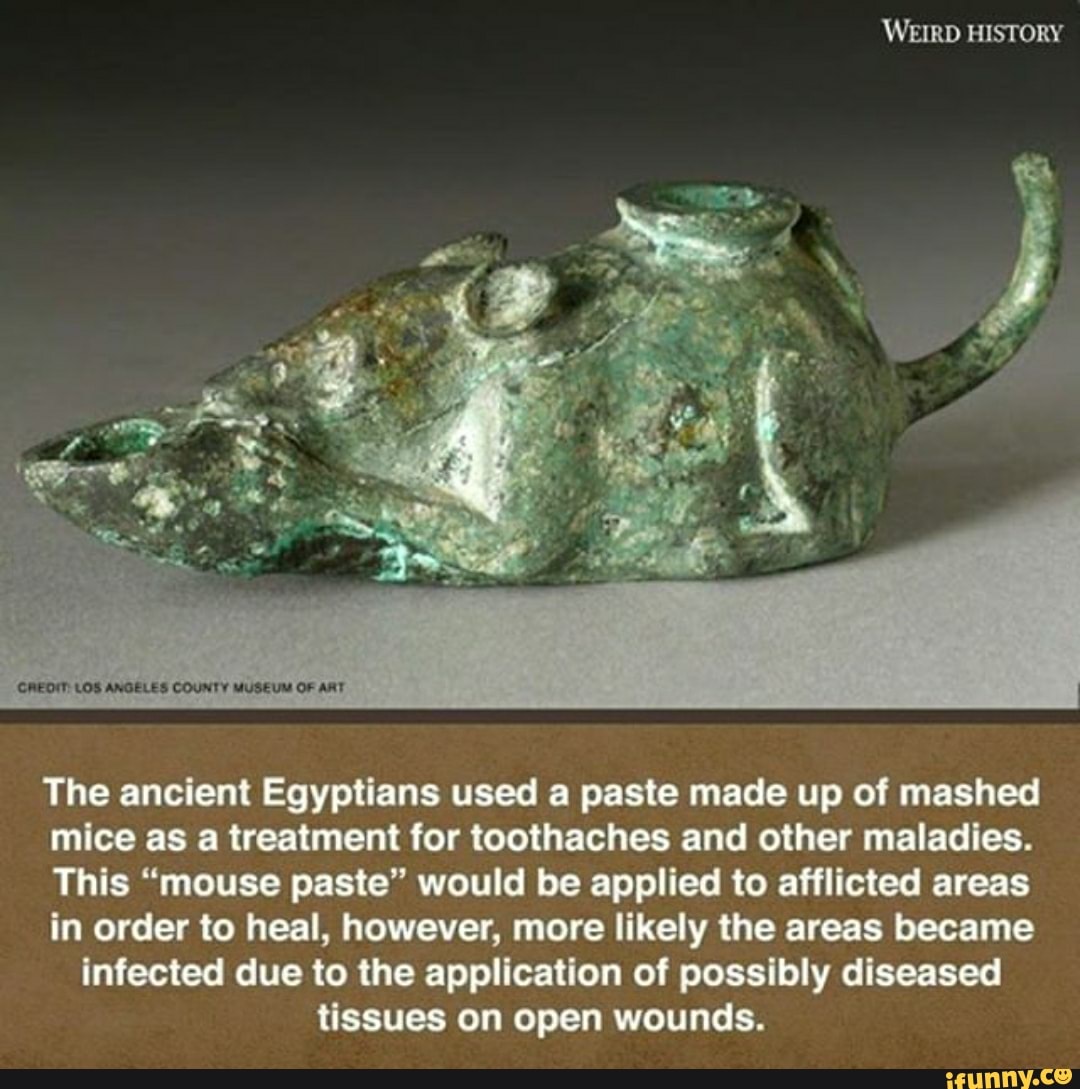 The ancient Egyptians used a paste made up of mashed mice as a ...