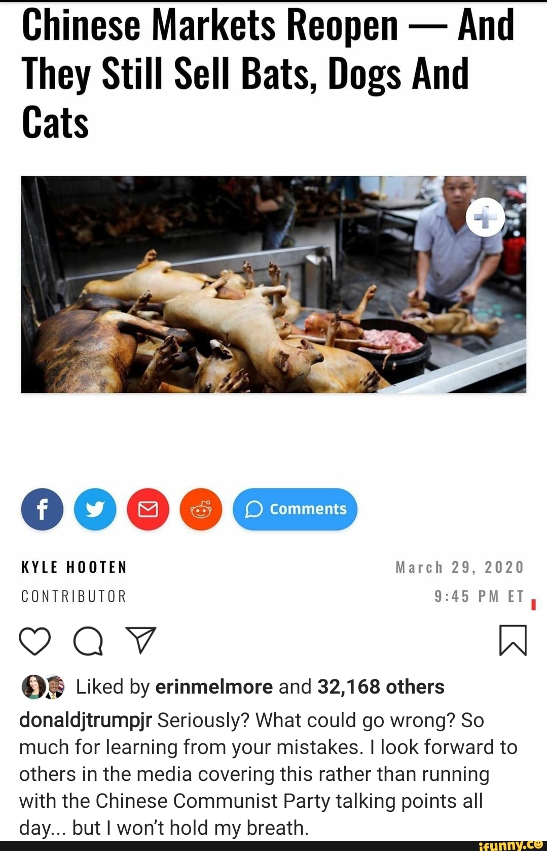 Chinese Markets Reopen And They Still Sell Bats, Dogs And Cats 0006 G ...