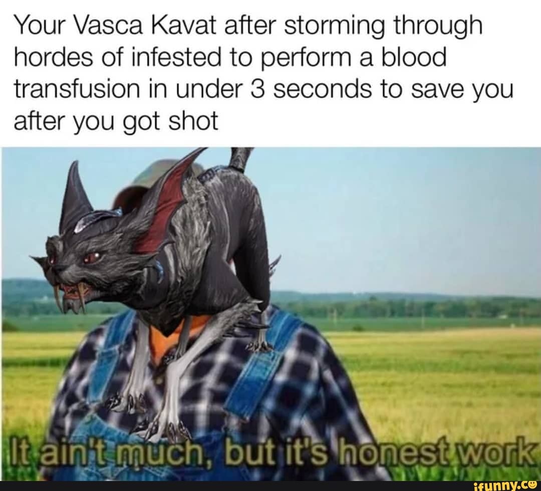 Kavat memes. Best Collection of funny Kavat pictures on iFunny