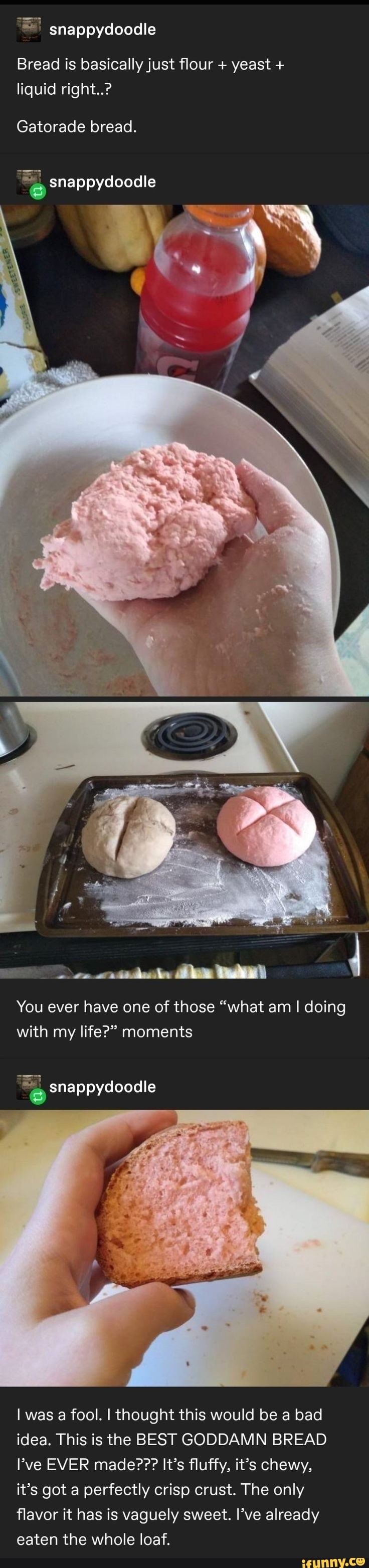 Snappydoodle Bread is basically just flour + yeast + liquid right ...