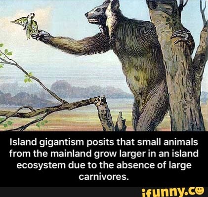 Gigantism In Animals