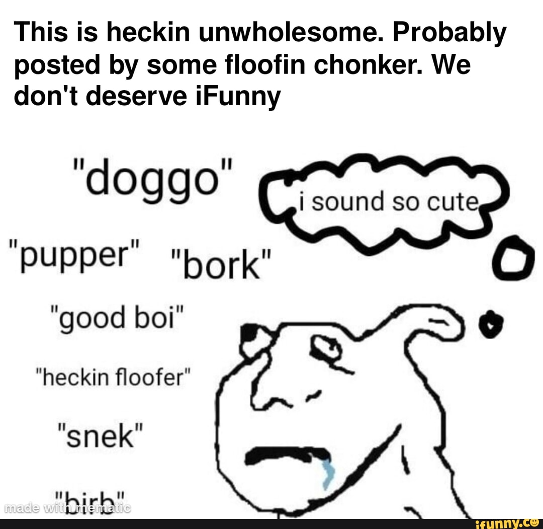 Boi memes. Best Collection of funny Boi pictures on iFunny