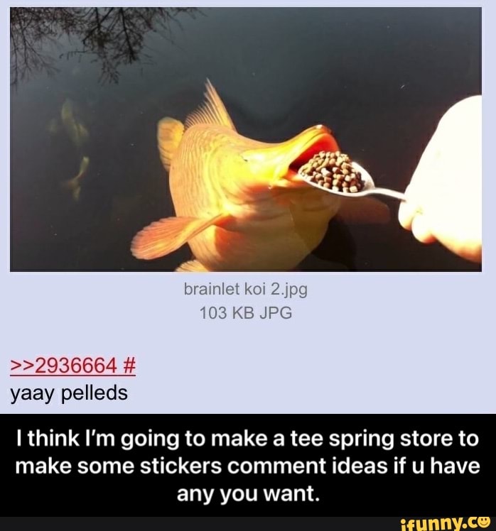 >>2936664 yaay pelleds brainlet koi 2.jpg 103 KB JPG think I'm going to ...