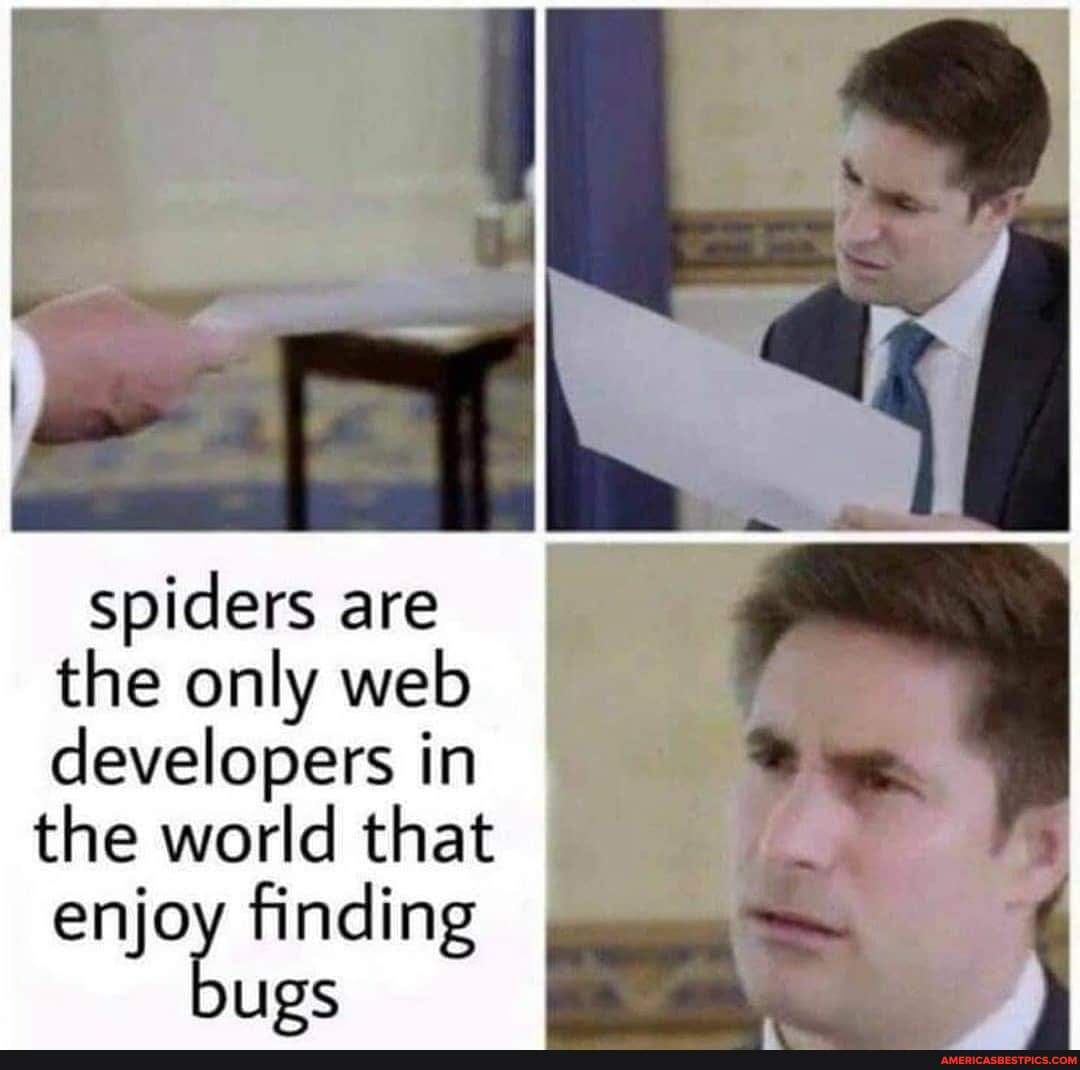 Spiders are the only web developers in the world that enjoy finding ugs I - America’s best pics ...