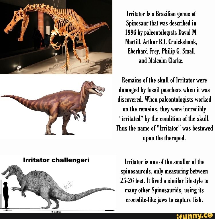 Irritator memes. Best Collection of funny Irritator pictures on iFunny