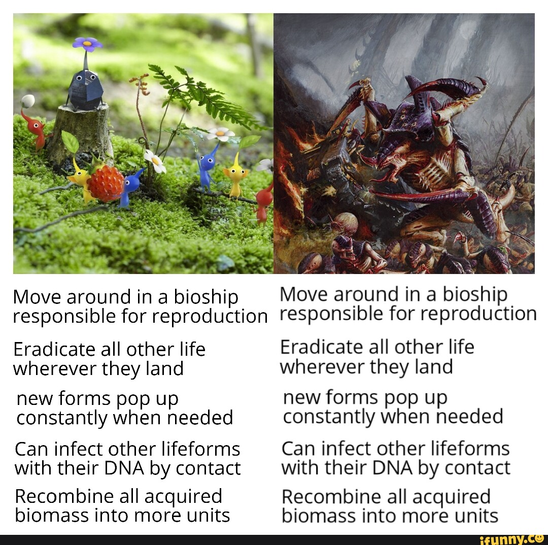 Hey you stop scrolling for a moment I made this meme for you Lile ls ...