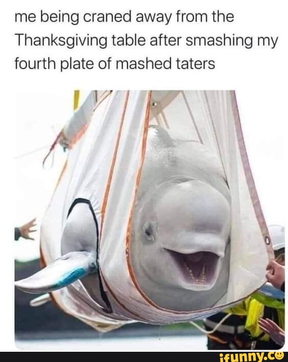 Picture memes XPlDBBEz7 by _Bakugo_Katsuki - iFunny