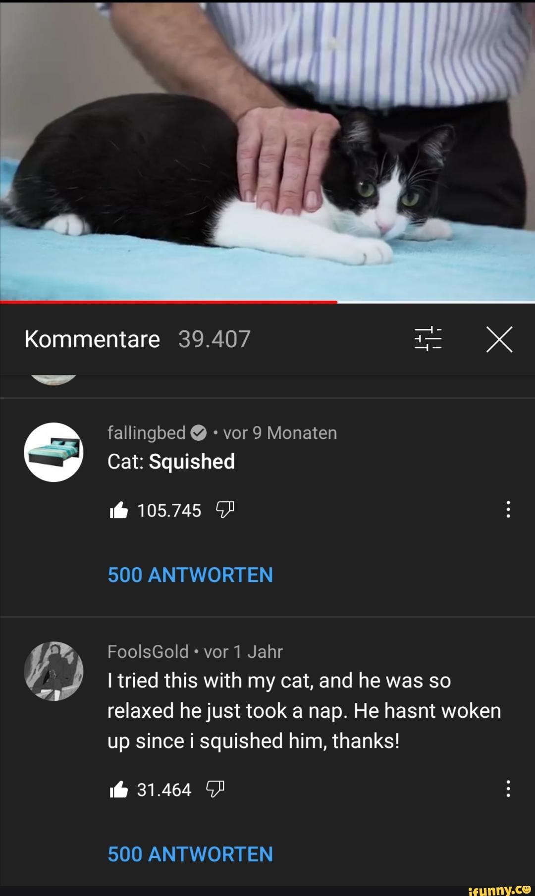 Squished memes. Best Collection of funny Squished pictures on iFunny