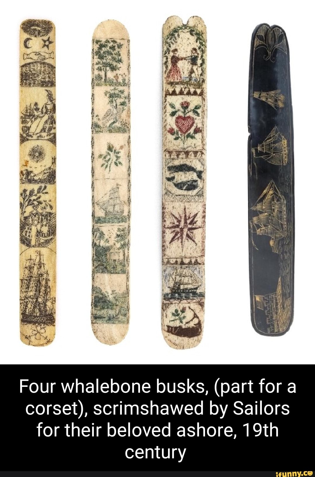 Scrimshawed memes. Best Collection of funny Scrimshawed pictures on iFunny