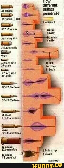 Different bullets penetrate 38 special (FBI). Initiat cavity Damage ...