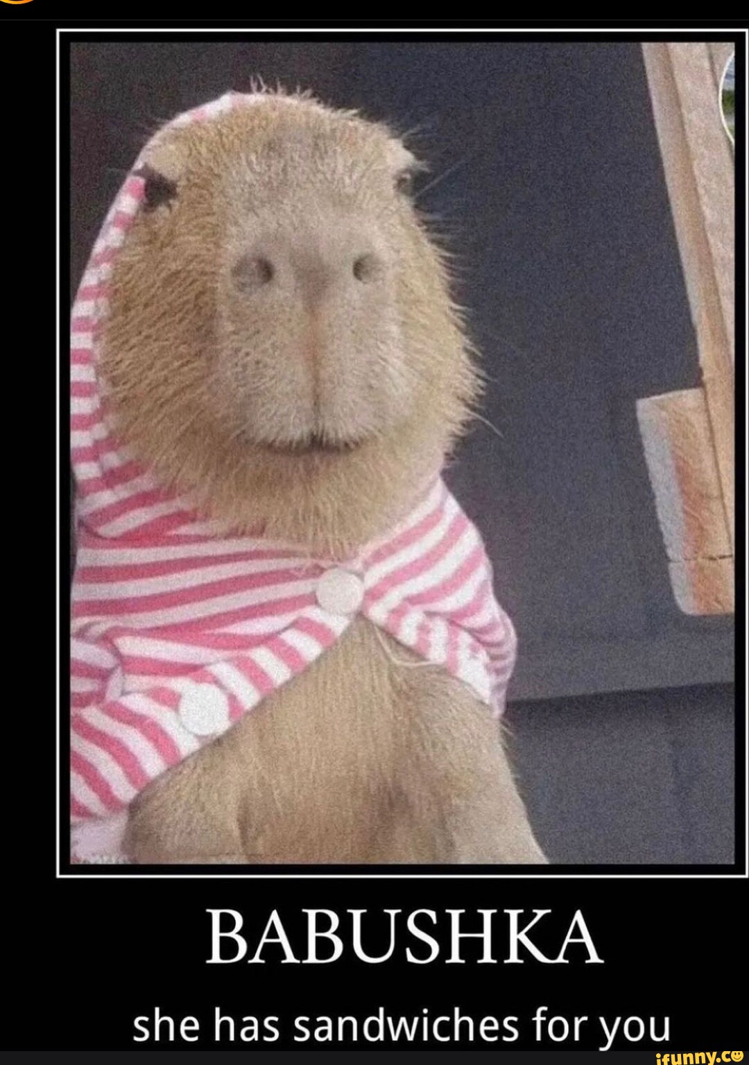 Babushka memes. Best Collection of funny Babushka pictures on iFunny