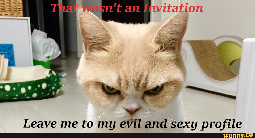 Invitation memes. Best Collection of funny Invitation pictures on iFunny