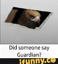 Nightreign memes. Best Collection of funny Nightreign pictures on iFunny