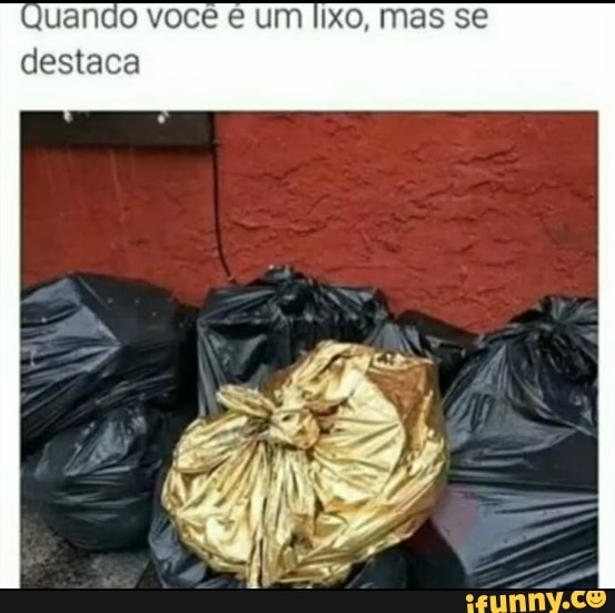 Quando você um lixo, mas se destaca - iFunny Brazil