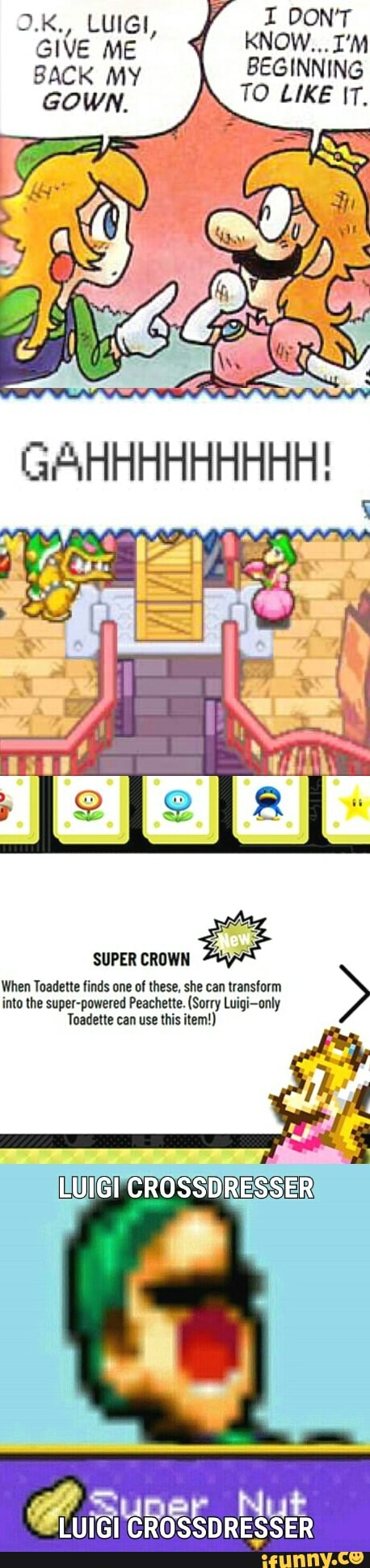 Luigina memes. Best Collection of funny Luigina pictures on iFunny