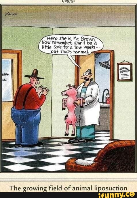 Liposuction memes. Best Collection of funny Liposuction pictures on iFunny