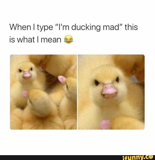 When I type "I'm ducking mad" this is what I mean - iFunny