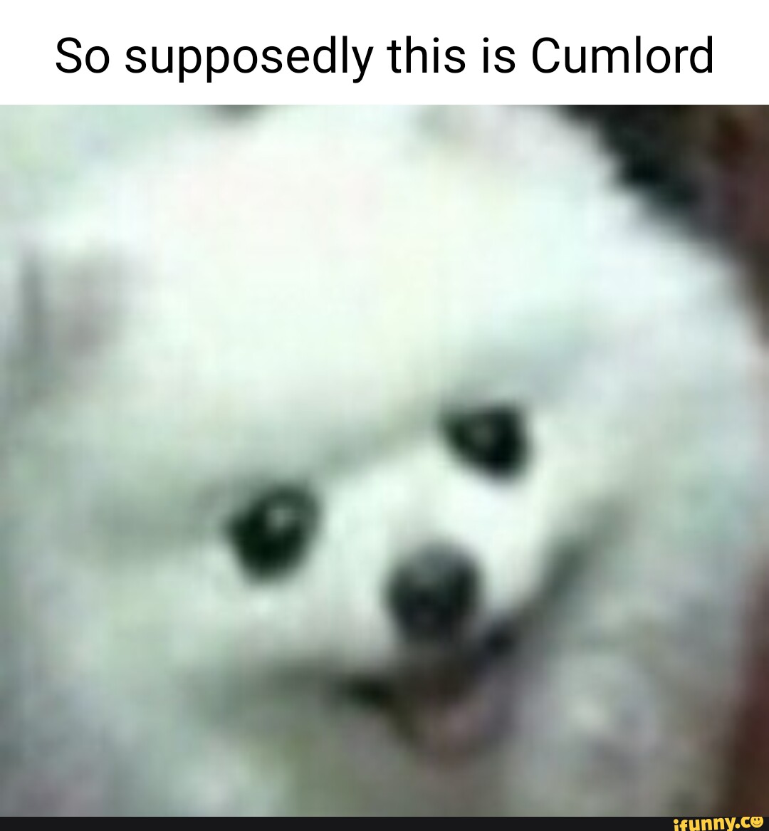 Cumlord memes. Best Collection of funny Cumlord pictures on iFunny