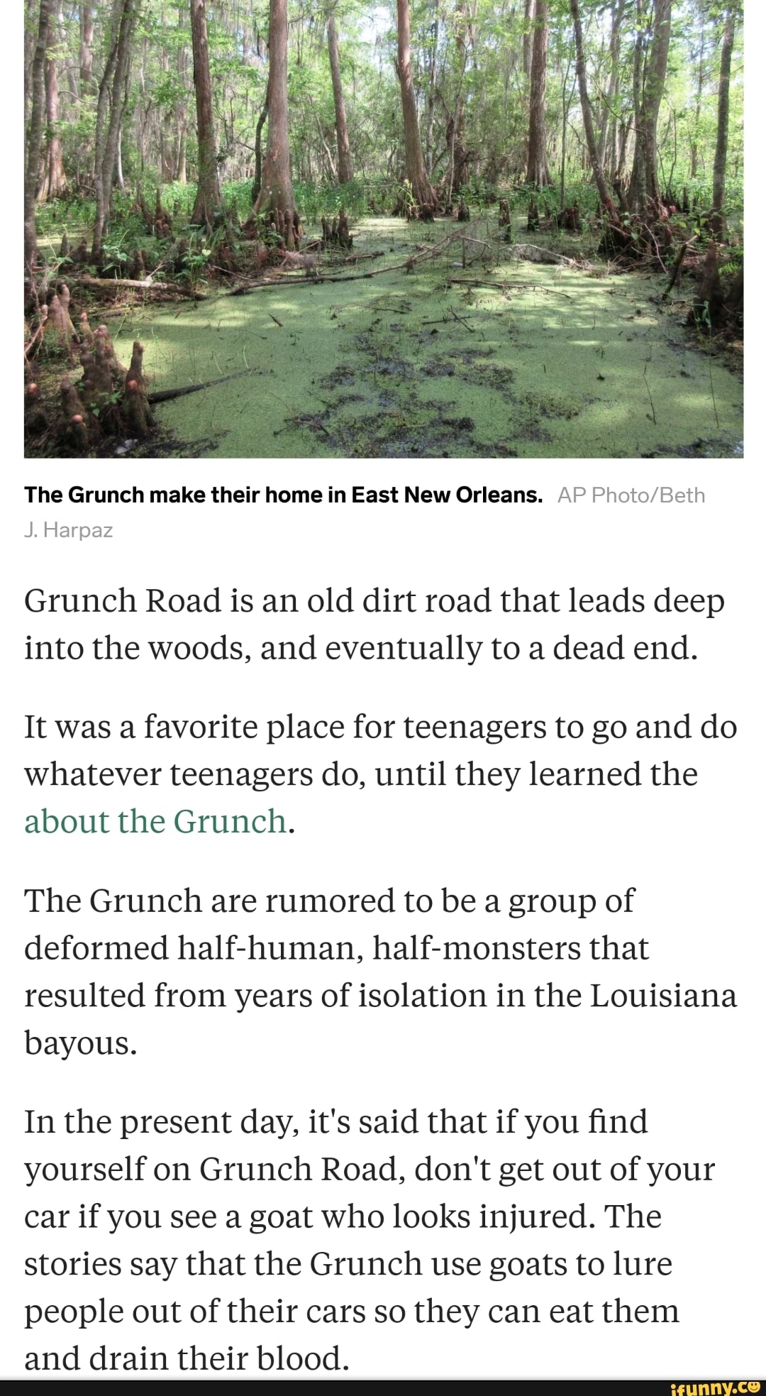 The Grunch make their home in East New Orleans. AP Photo/Beth J. Harpaz ...