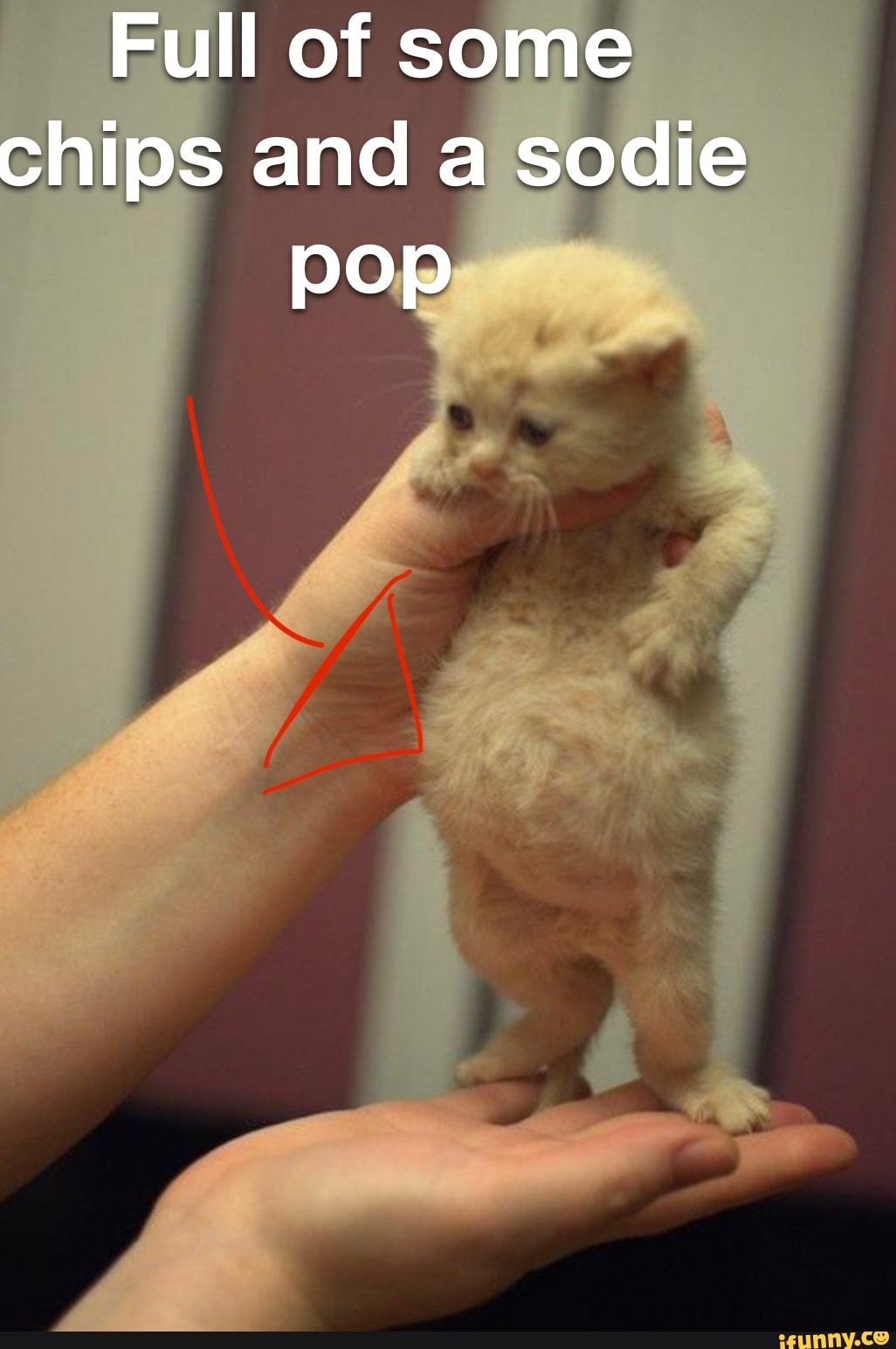 Sodie memes. Best Collection of funny Sodie pictures on iFunny