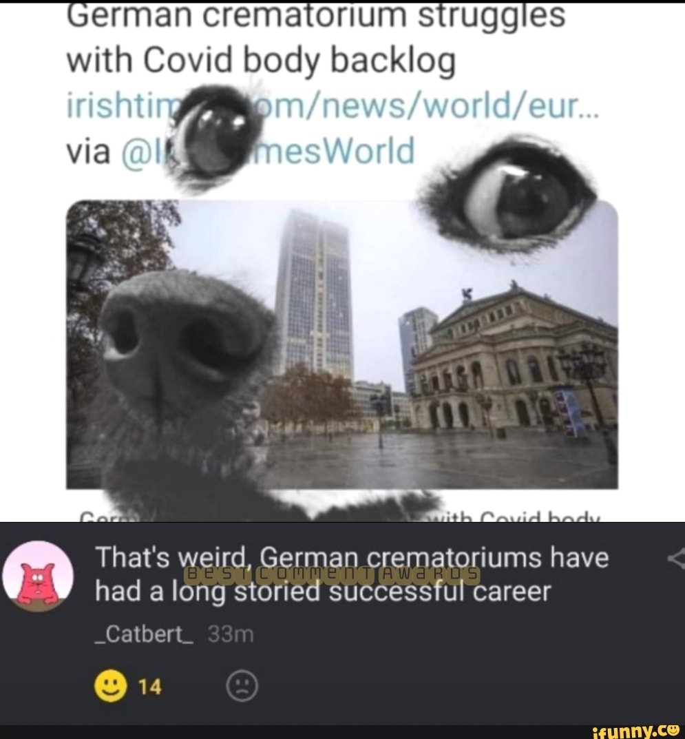 Catbert memes. Best Collection of funny Catbert pictures on iFunny