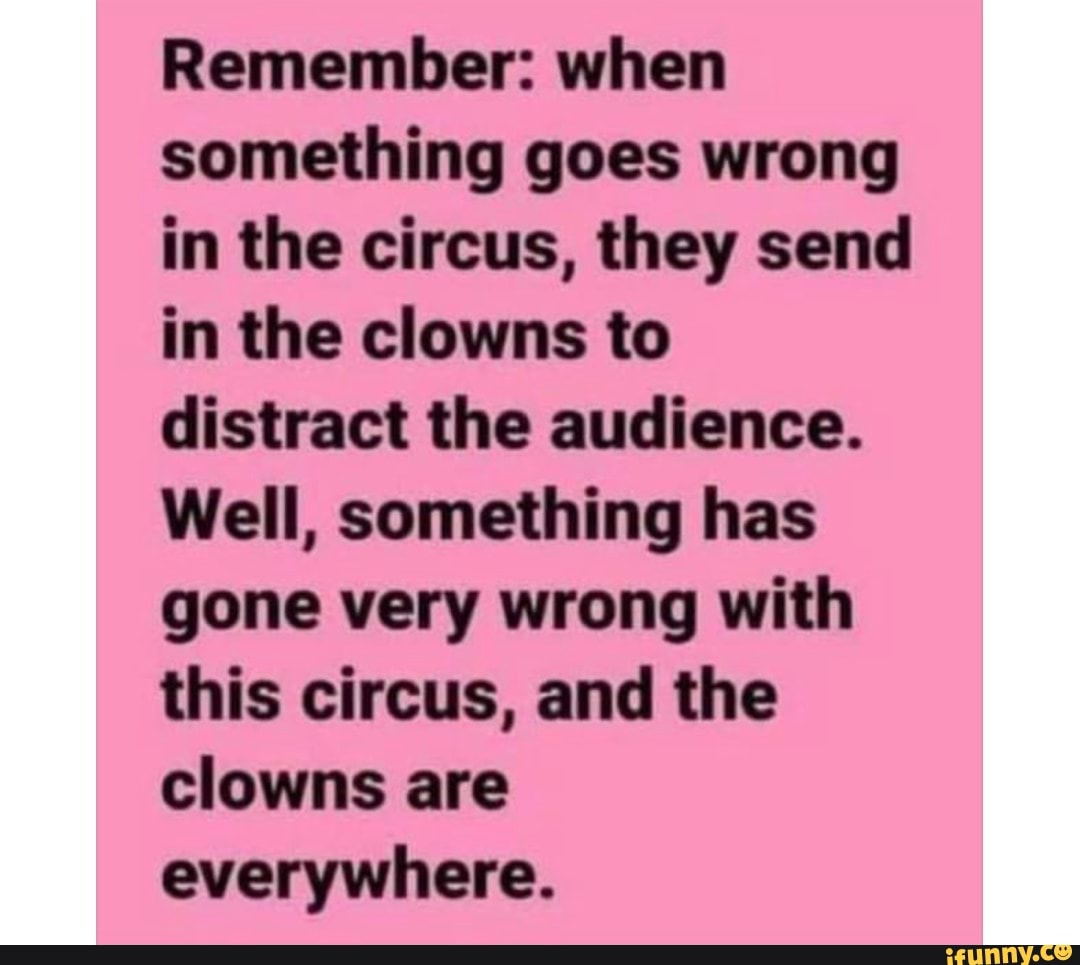 Remember: when something goes wrong in the circus, they send in the ...